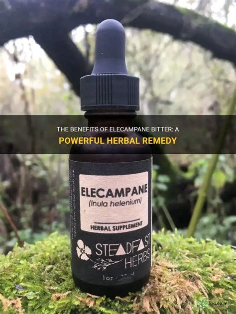 The Benefits Of Elecampane Bitter A Powerful Herbal Remedy Shuncy