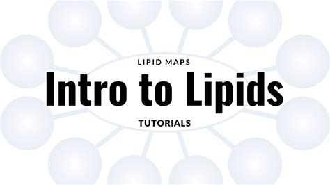 Lipid Maps
