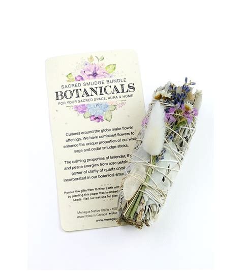 Small Sage Natural Canadian Indigenous Art Inc