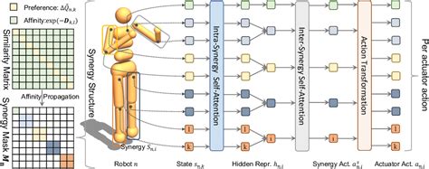 Low Rank Modular Reinforcement Learning Via Muscle Synergy Paper And Code Catalyzex