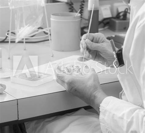 Insideheaderpipeline Taysha Gtx