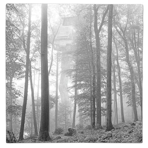 Ewoks Endor Rfakealbumcovers