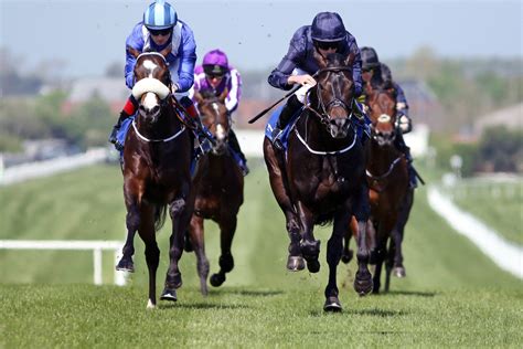 Racing Supplements Range