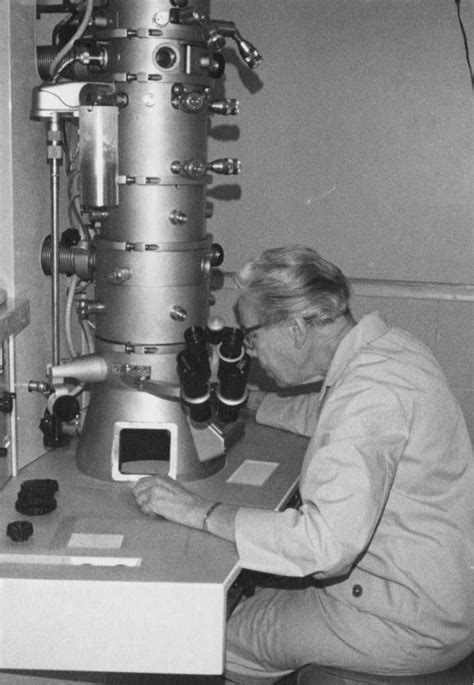 Katherine Esau The Immigrant Beet Biologist Who Transformed Plant