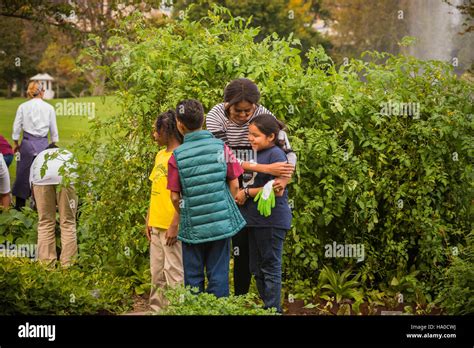 The Food And Nutrition Service Fns Under The Usda Works To Ensure Food Security And Promote