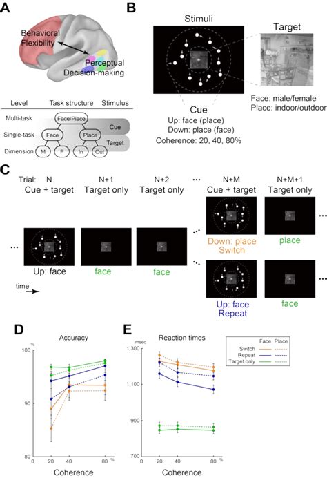 Experimental Design And Behavioral Results A Schematic Illustration