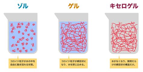 【一発暗記】ゾルとゲルとは？違いを分かりやすく解説！ 化学受験テクニック塾