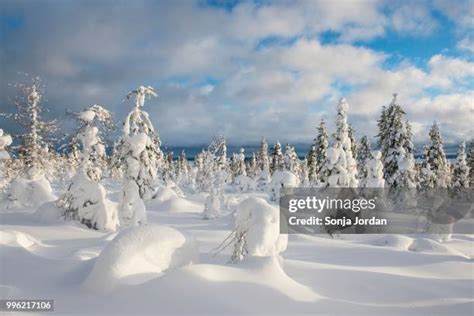 Riisitunturi National Park Photos And Premium High Res Pictures Getty