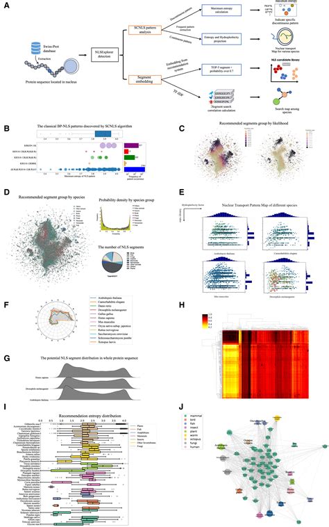 Discovering The Nuclear Localization Signal Universe Through A Deep