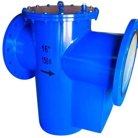 Bucket Type Flanged Strainer Color Blue At Best Price In Delhi