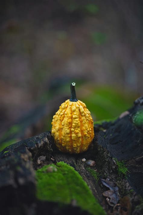 Pamela Marie Photography