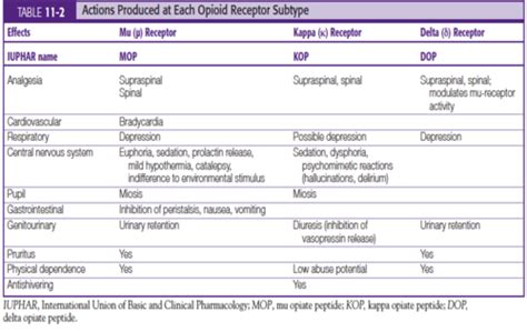 Opioid Agonists And Antagonists Flashcards Quizlet