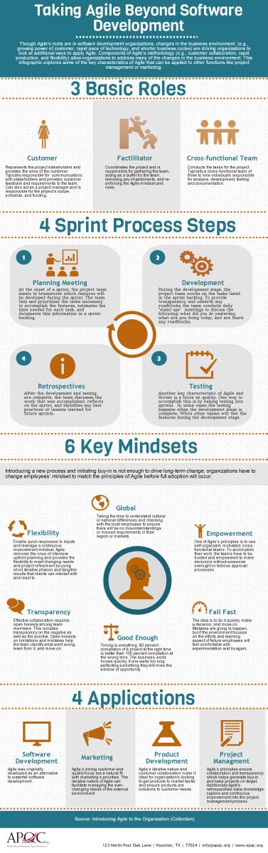 Infographics Software Development