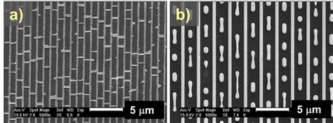 9 Sem Micrographs Impact Of Physical Self Assembly With Partial
