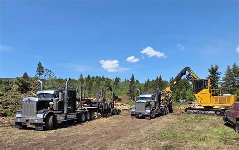 Jf Logging Jf Logging Added A New Photo