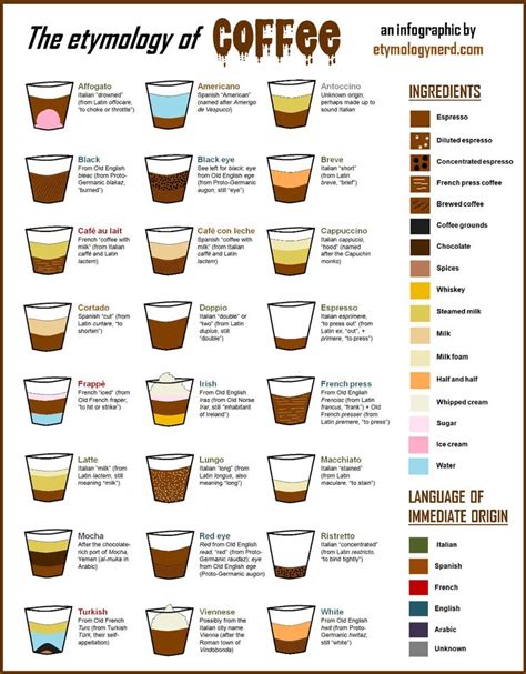 The Etymology Of Coffee Infographic Coffee Infographic Different Coffee Drinks Espresso