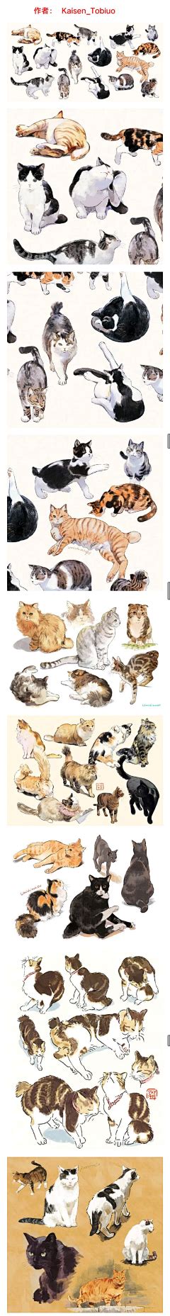 福瑞 花瓣网陪你做生活的设计师 ，觉得男主好帅啊还是忍不住摸了鱼。不这显然是脑补过度大量二设【因为看的版本没有插图就随便发挥了！【这本书设定还挺猎奇的，主角是老鼠跟老虎杂交诞生的新