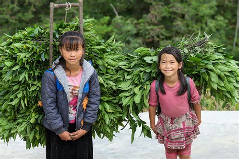 Teenassspreading Photos Download The Best Free Teenassspreading