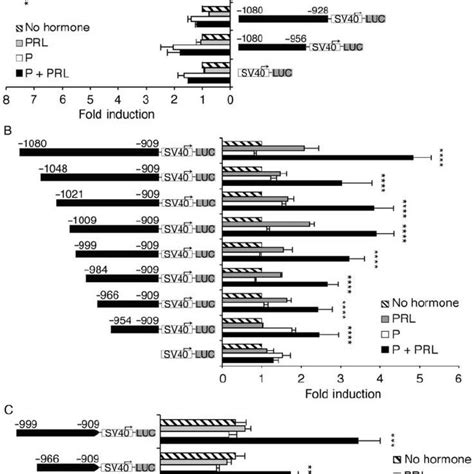 Transcription From The Mouse Mammary Tumor Virus Long Terminal Repeat