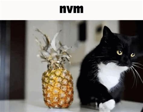 Ihaveihaveihavewunkus