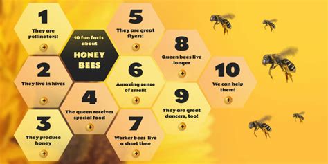 Worker Bee Facts Bee Facts 155 Amazing Facts About Bees And