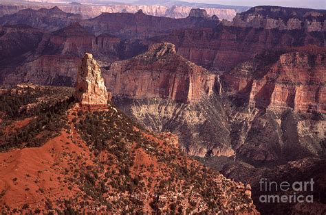 Mt Hayden Grand Canyon Photograph By Liz Leyden Fine Art America