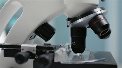 Close Up Of Microscopic Sample Glass Tray In Laboratory Microscope For