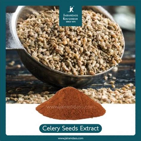 Jk Botanical Celery Seed Extract Packaging Size 25 Kg At ₹ 1550kg In