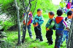 幼儿园教师指挥孩子露天小便惹争议 滚动新闻 新浪财经 新浪网