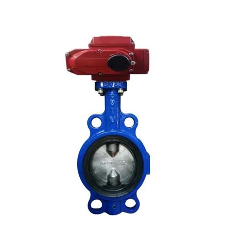 Blue Va 18i Vtm Motorised Wafer End Butterfly Valves At Best Price In