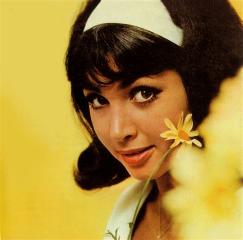 Pictures Of Laurie Sibbald