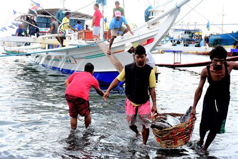 ‘big Catch Small Catch