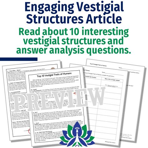 Evidence Of Evolution Activities Bundle Flying Colors Science