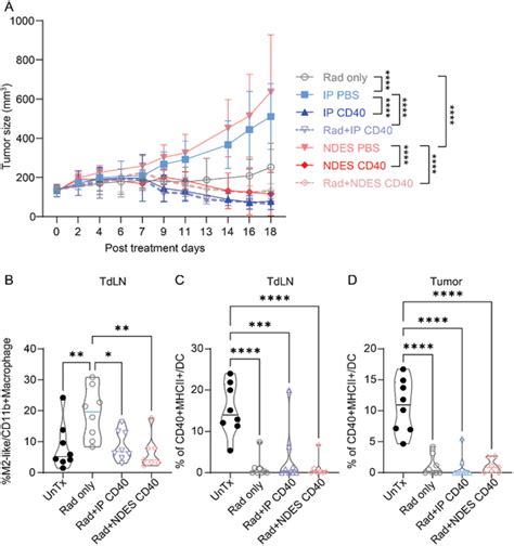 Combinational Treatment Efficacy Of Single Dose Of Radiation And Cd40