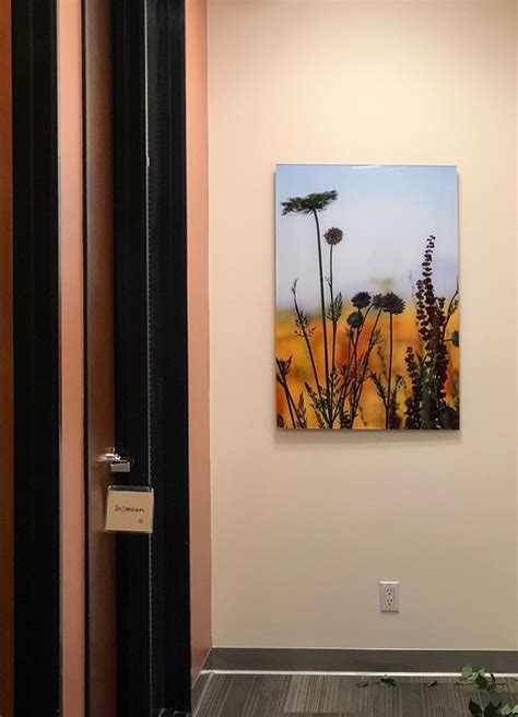 Kaiser Psychiatry And Behavioral Health Nancy Witherell Art