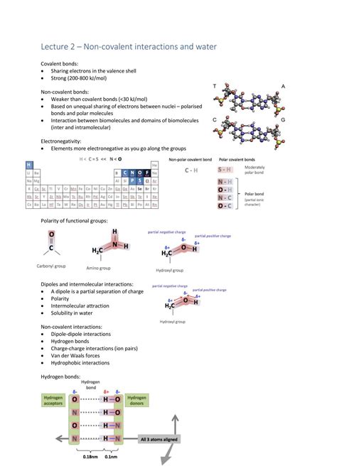 Biochemistry Notes Biol10212 Biochemistry Manchester Thinkswap