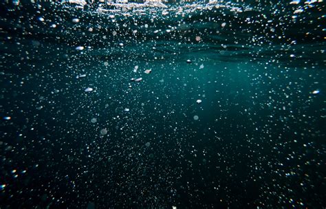 Full Frame Underwater Swimming Adventure Bubbles Marine Moment