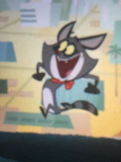 Taffy The Cat Raccoon By Ohyeahcartoonsfan On Deviantart