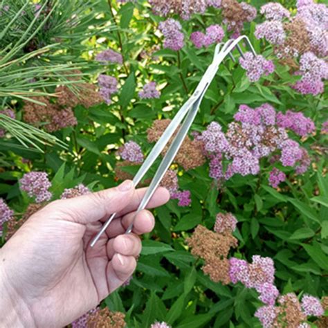 Gbayxj Garden Trimmer Tool Gardening Stainless Steel Small Rake Root