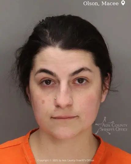 Macee Olson Booked For Battery Domestic Violence Without Traumatic