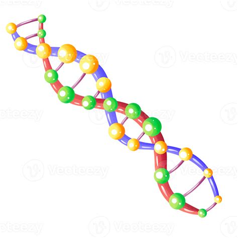Colorful Dna Symbol 43729584 Png