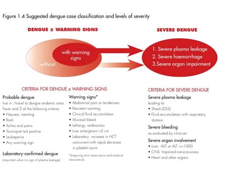 Emergency Medicine Blog Dengue The New Who 2010 Severity Classification