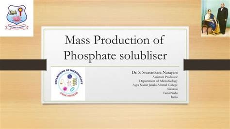 Phosphate Solubilizers Pptx