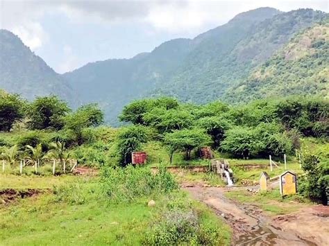 Theni Due To The Leakage Of Water From The Bachilai Nakshi Amman Dam