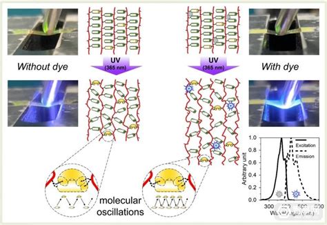 弹性可微调，基于lcn光敏材料的触觉模拟系统 知乎