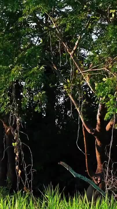 Sudhakar Ranjan Ghosh On Linkedin Dse9r4tq