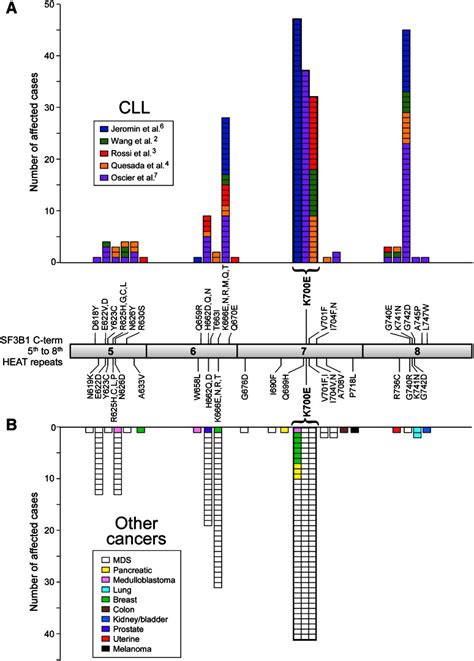 Sf3b1 Mutations In Chronic Lymphocytic Leukemia Pmc
