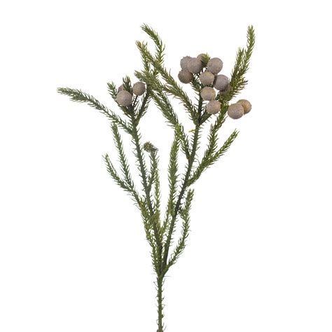 Artificial Berzelia Spray Grey 63cm Pack Of 12 — Flora Designs Australia