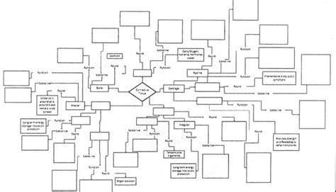Solved Connective Tissue Concept Map
