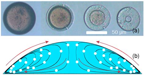 Self Assembly Kinetics Of Colloidal Particles Inside Monodispersed Micro Droplet And Fabrication